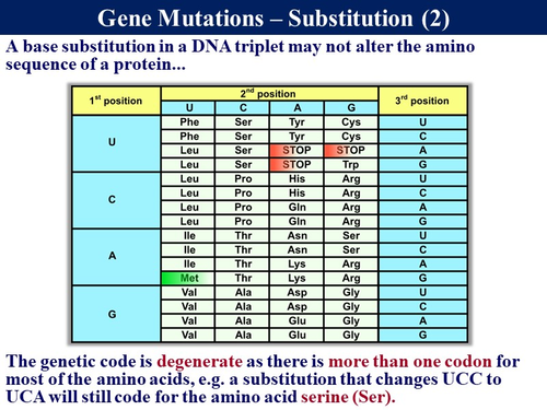 Bio6.10 Gene Mutations | Teaching Resources