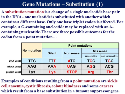 Bio6.10 Gene Mutations | Teaching Resources
