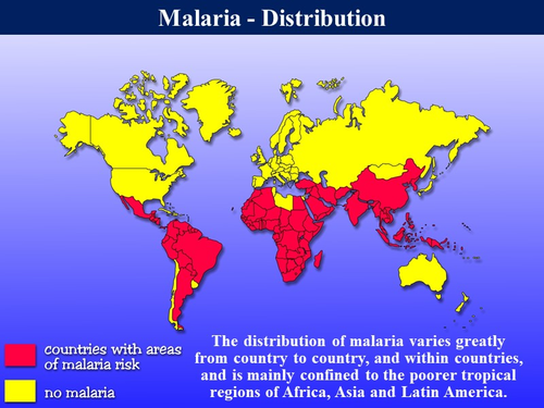Bio3.5 Communicable Disease - Protist Example (Plasmodium & Malaria) | Teaching Resources