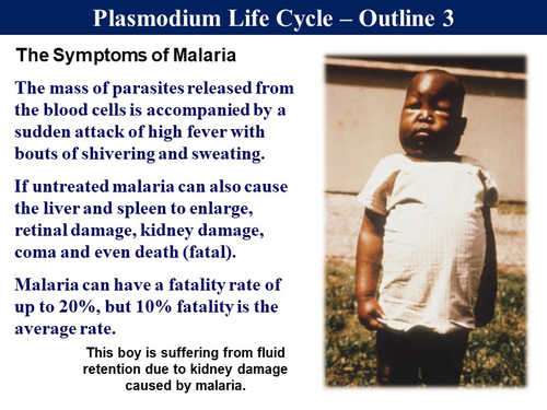 Bio3.5 Communicable Disease - Protist Example (Plasmodium & Malaria) | Teaching Resources