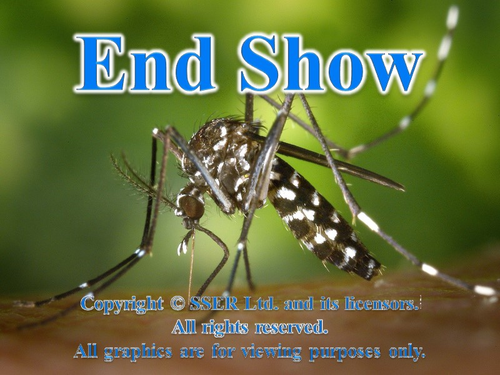 Bio3.5 Communicable Disease - Protist Example (Plasmodium & Malaria ...