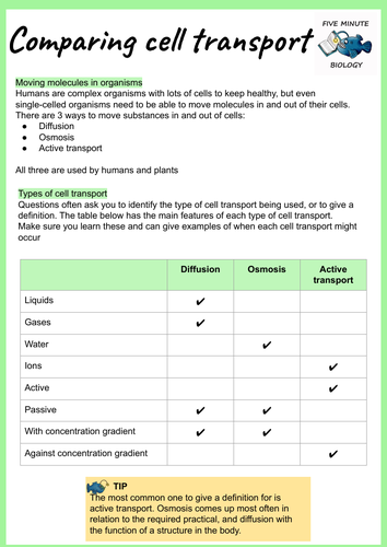 AQA GCSE Biology Comparing Cell Transport Revision Sheet | Teaching ...