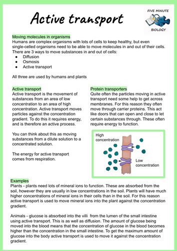 GCSE AQA Biology Triple Higher Topic 1 Cells Revision Sheet Bundle ... GCSE AQA Biology Triple Higher Topic 1 Cells Revision Sheet Bundle ...