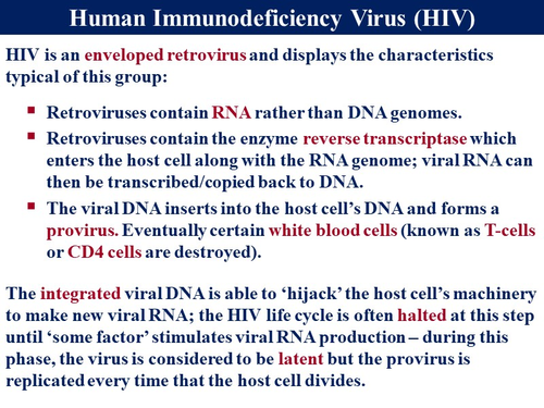 Bio5.4-5.6 Disease - Communicable 3 (Protist, Fungus & Virus) | Teaching Resources