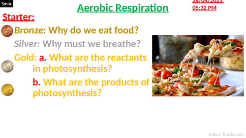 Aerobic and anaerobic respiration KS3 and KS4 | Teaching Resources