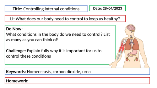 GCSE/iGCSE Biology: Homeostasis | Teaching Resources