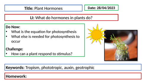 GCSE/iGCSE Biology: Plant hormones | Teaching Resources