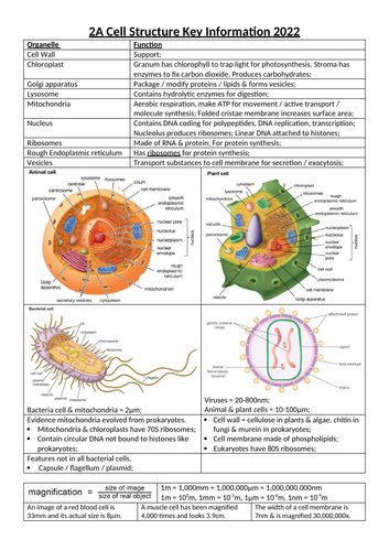 AQA AS Biology 2A Cell Structure | Teaching Resources