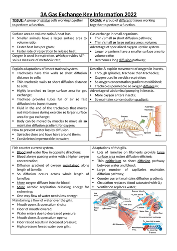 AQA AS Biology 3A Gas Exchange | Teaching Resources