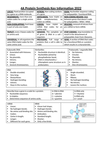 AQA AS Biology 4A Protein Synthesis | Teaching Resources