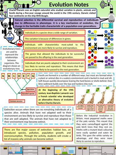 AQA KS4 GCSE Biology (Science) Variation & Evolution Revision Lesson ...