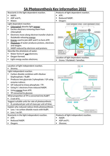 AQA A2 Biology 5A Photosynthesis | Teaching Resources