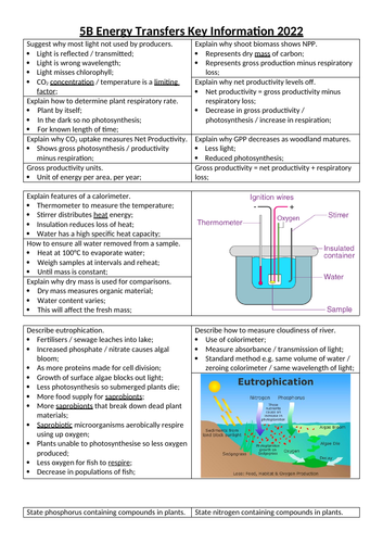 AQA A2 Biology 5B Energy Transfers | Teaching Resources