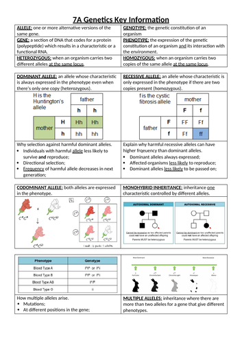 AQA A2 Biology 7A Genetics | Teaching Resources