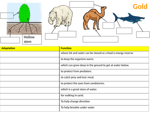 Adaptations of living organisms KS2 KS3 KS4 Science | Teaching Resources