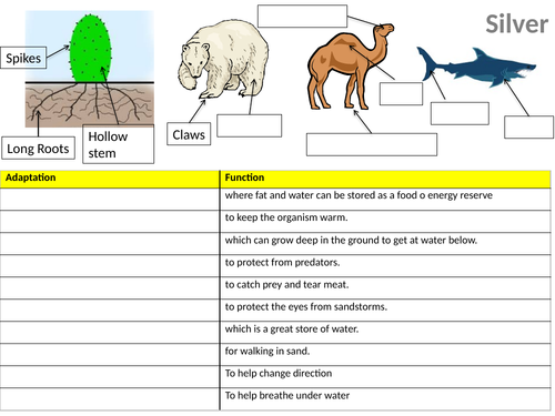 Adaptations of living organisms KS2 KS3 KS4 Science | Teaching Resources