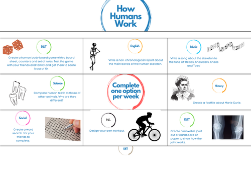 How Humans Work - Homework Sheet | Teaching Resources