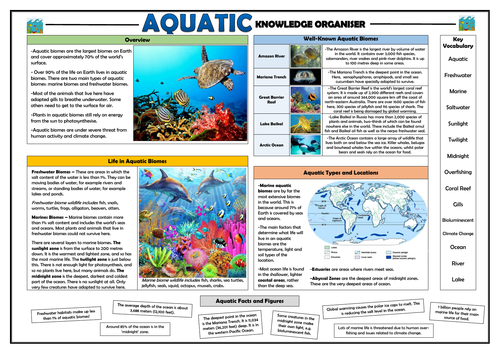 Biomes - Knowledge Organisers Bundle! | Teaching Resources