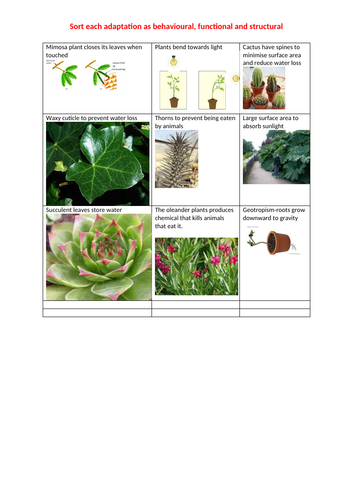 Types of adaptation in plants and animals | Teaching Resources