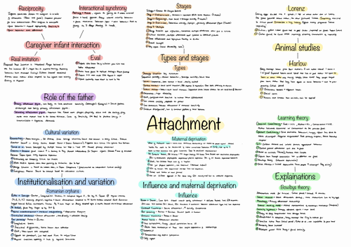 A level Psychology paper 1 revision notes | Teaching Resources A level Psychology paper 1 revision notes | Teaching Resources