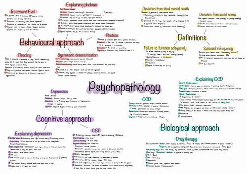 A level Psychology paper 1 revision notes | Teaching Resources A level Psychology paper 1 revision notes | Teaching Resources