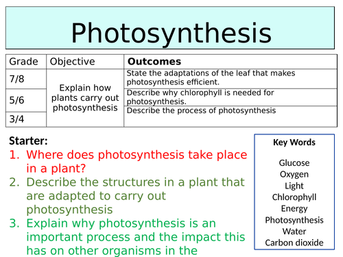 OCR GCSE (9-1) B1 Cell-Level System lessons | Teaching Resources