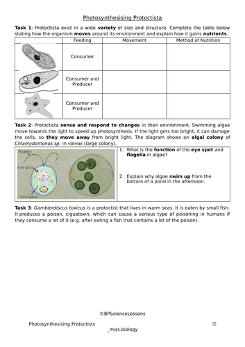 8D Unicellular Organisms, Bacteria, Fungi, Protists, Carbon Cycle 5 ...