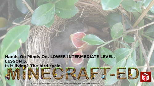 The bird life cycle bundle PPT lesson 7-9 years with Homework & Preview ...