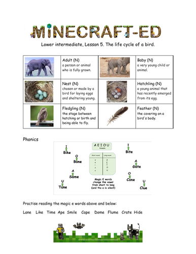 The bird life cycle bundle PPT lesson 7-9 years with Homework & Preview ...