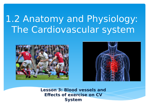 Cardiovascular system- Blood Vessels | Teaching Resources