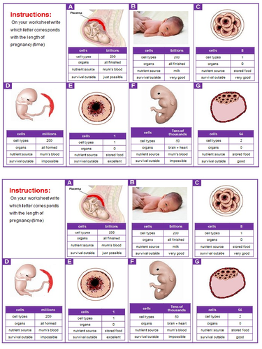 KS3 Biology Fertilisation and Baby Development Lesson Presentation and ...