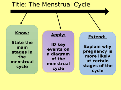 KS3 Biology The Menstrual Cycle Lesson Presentation and Resources ...