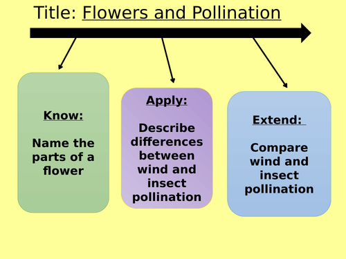 KS3 Biology Flowers and Pollination Lesson Presentation and Resources ...