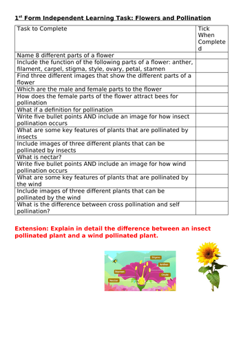 KS3 Biology Flowers and Pollination Lesson Presentation and Resources ...