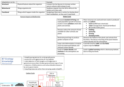 AQA GCSE Ecology Knowledge Organiser | Teaching Resources
