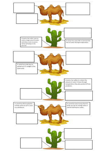 KS3 Geography: Biomes, climates and ecosystems SoW 11 lessons! Deserts ...