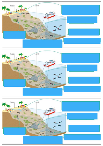 KS3 Geography: Biomes, climates and ecosystems SoW 11 lessons! Deserts ...