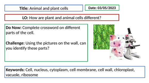 GCSE/iGCSE Biology: Animal and Plant cells | Teaching Resources