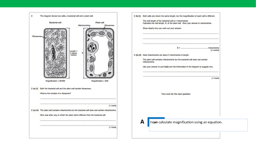 GCSE/iGCSE Biology: Eukaryotes and Prokaryotes | Teaching Resources