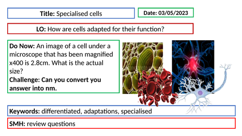 GCSE/iGCSE Biology: Specialised cells | Teaching Resources