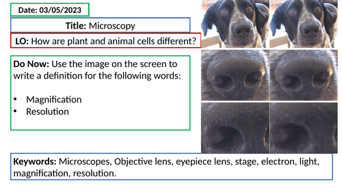 GCSE/iGCSE Biology: Microscopy | Teaching Resources