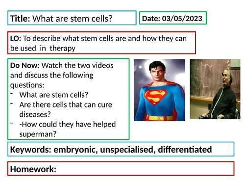 GCSE/iGCSE Biology: Stem cells | Teaching Resources