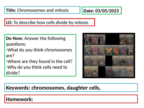 GCSE/iGCSE Biology: Mitosis | Teaching Resources