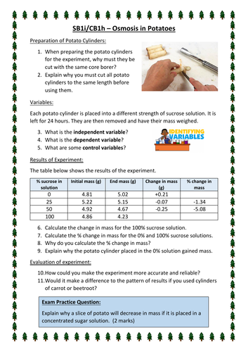Core Practicals - Edexcel Combined Science Biology Paper 1 (BUNDLE ... Core Practicals - Edexcel Combined Science Biology Paper 1 (BUNDLE ...