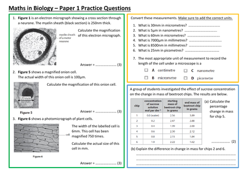 Maths in Biology BUNDLE (Edexcel GCSE Biology) | Teaching Resources