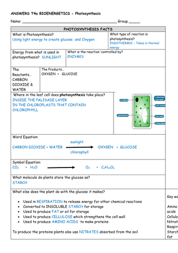 AQA Paper 1 Topic 4 Bioenergetics - Photosynthesis & Respiration ...