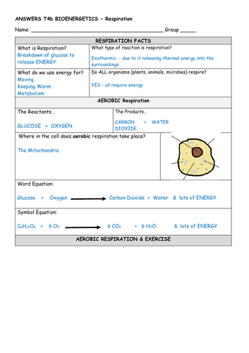 AQA Paper 1 Topic 4 Bioenergetics - Photosynthesis & Respiration ...