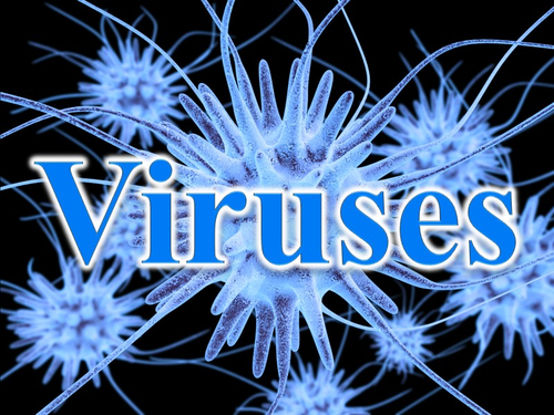 Bio2.8d Communicable Disease 2 (Protist, Fungus, Bacteria, Virus ...