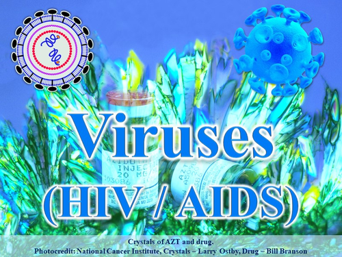 Bio2.8d Communicable Disease 2 (Protist, Fungus, Bacteria, Virus) | Teaching Resources