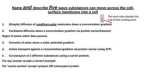 AQA 5 mark questions - Great for Revision building knowledge | Teaching ...
